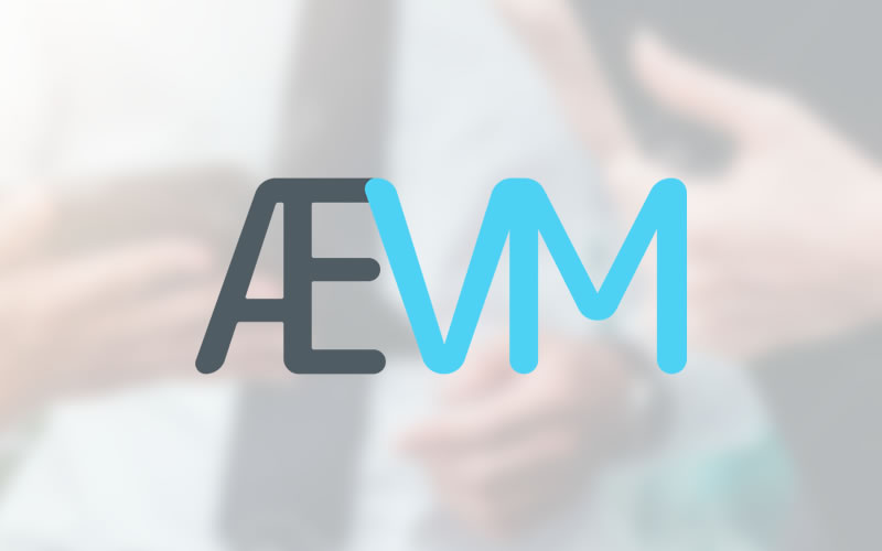 AEVM Holding B.V. - Home